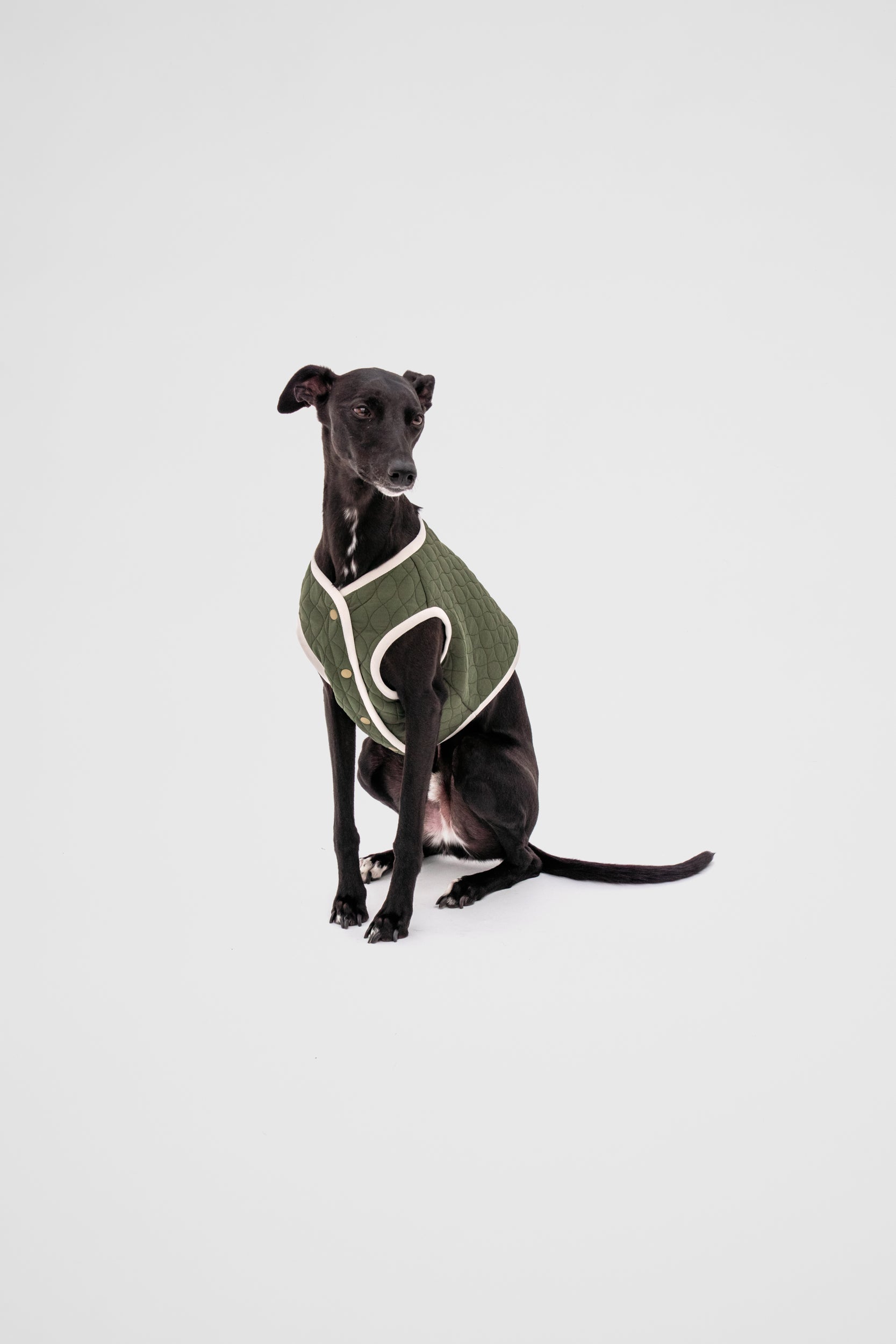 Iggy, Whiggy and Whippet Quilted Vest in Green | Sightly